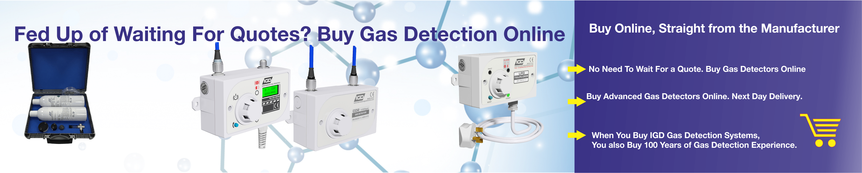 Home - International Gas Detectors : International Gas Detectors
