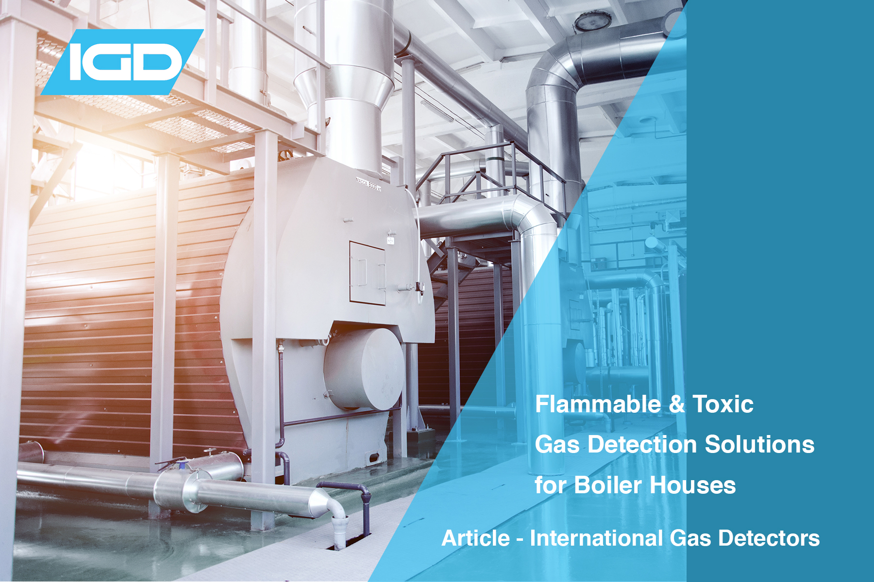 Hydrogen Gas Monitor | H2 Gas Detector Solutions | IGD
