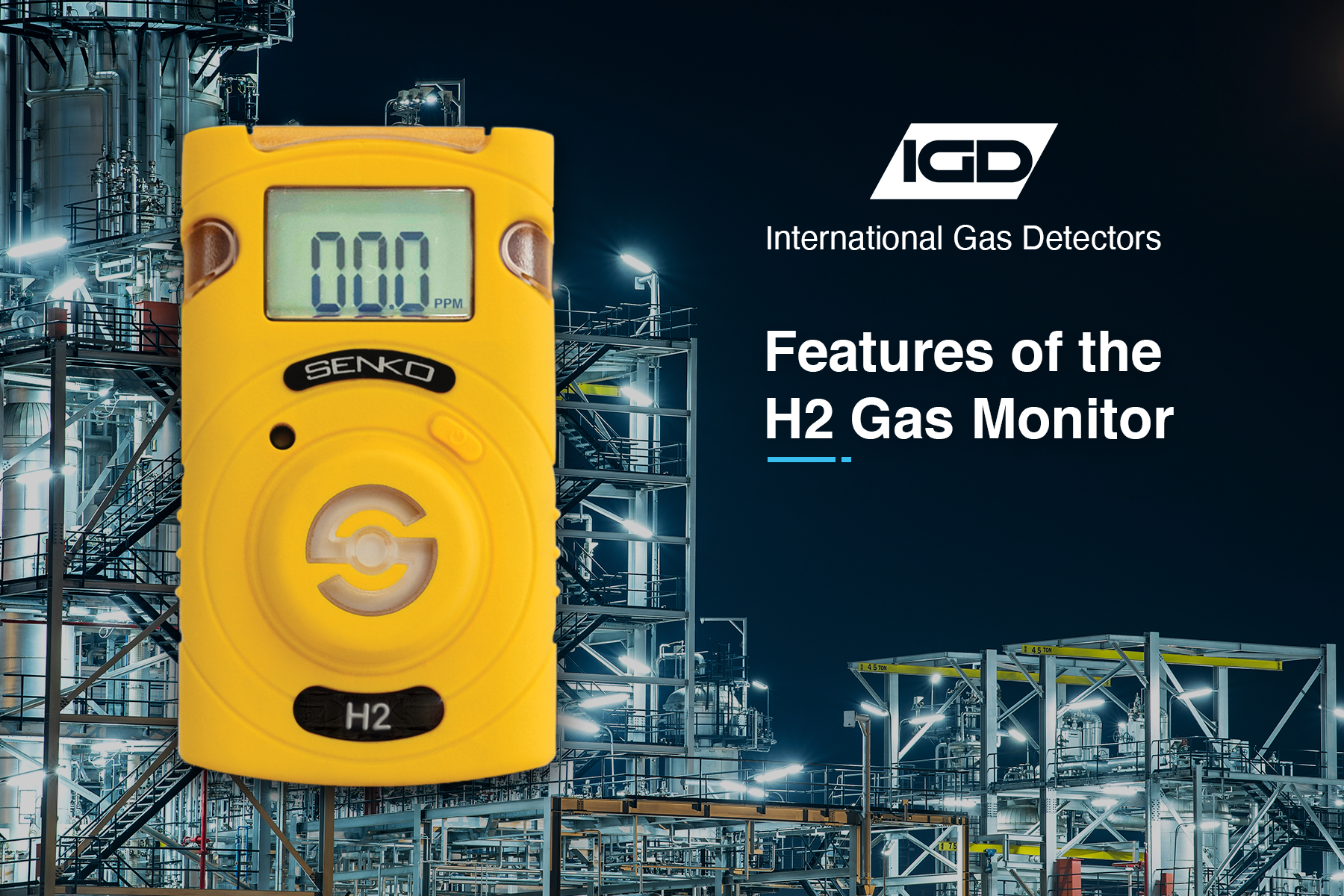 Hydrogen Gas Monitor | H2 Gas Detector Solutions | IGD